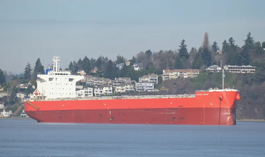 BULKER FLEET – KMAX : MV. THE HARMONY - Globalmariner.com.vn